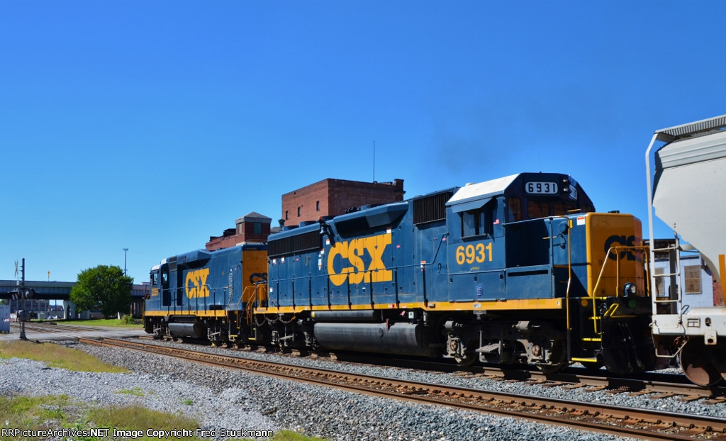 That calf would be nothing without this cow.